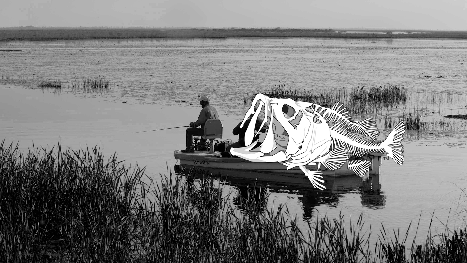 Sport Shop - Sports Bones